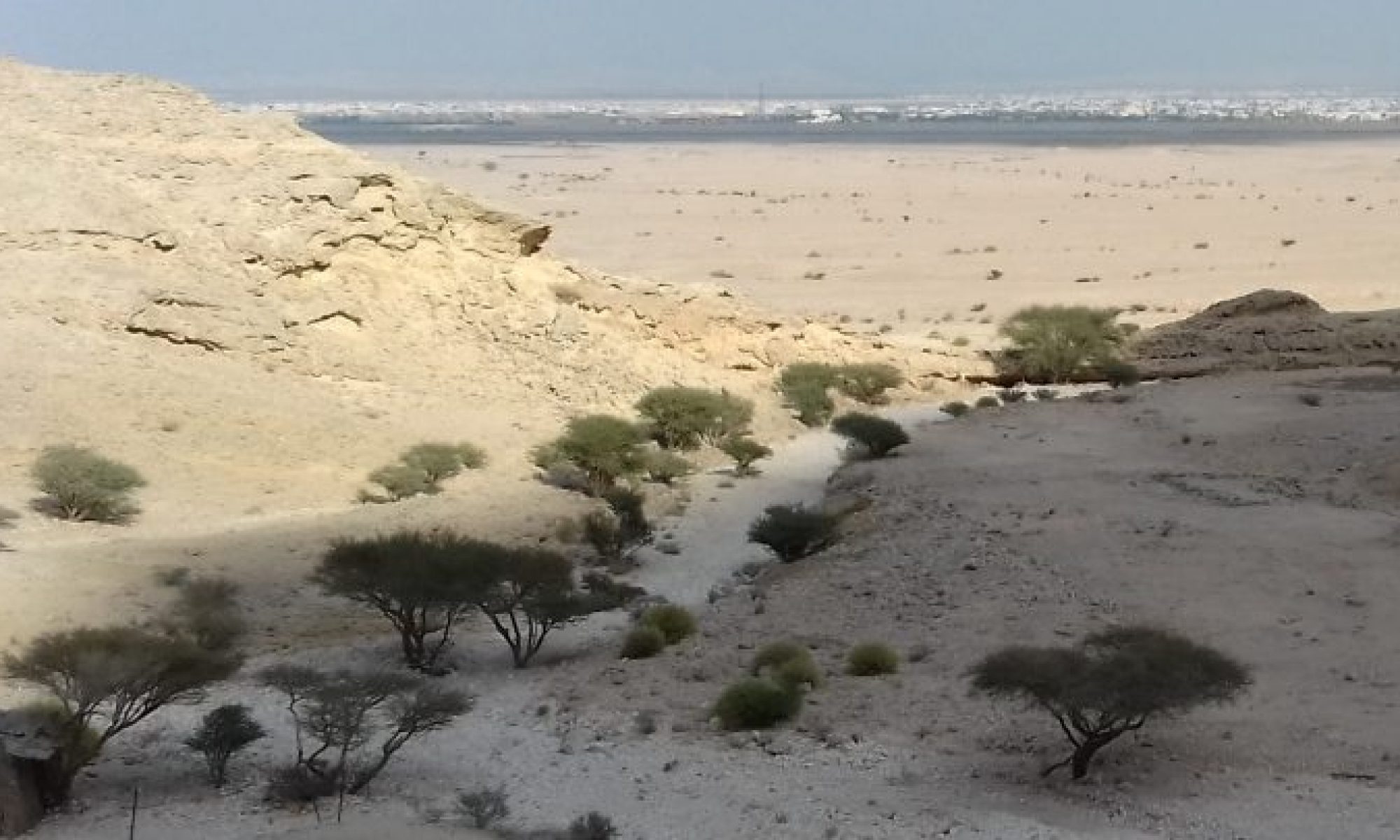 Projects – Warid (وريد)